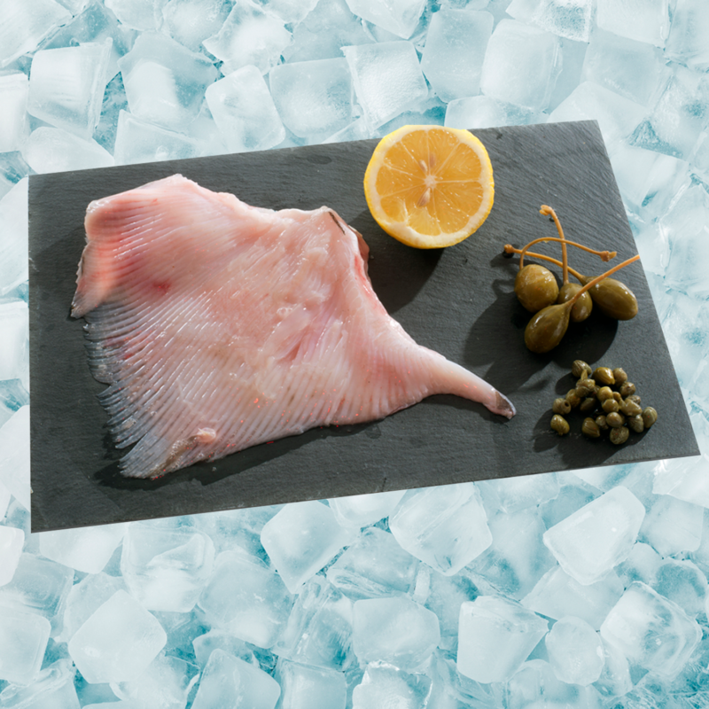 FILETE DE MANTARRAYA dasyatis longa ( Raya Blanca) - BEMIR PANAMÁ